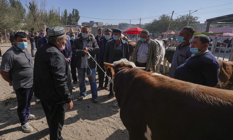 Cattle and sheep bazaar held in Shufu, NW China - Global Times