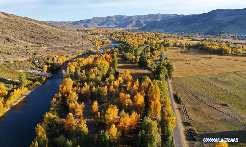 Scenery in Qinghe County in China's Xinjiang - Global Times