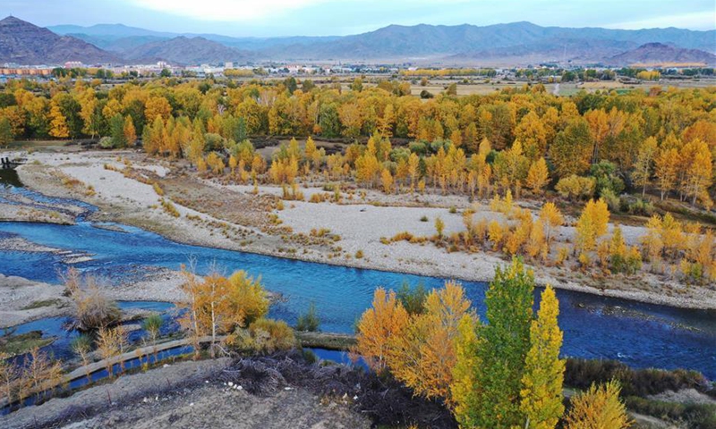 Scenery in Qinghe County in China's Xinjiang - Global Times