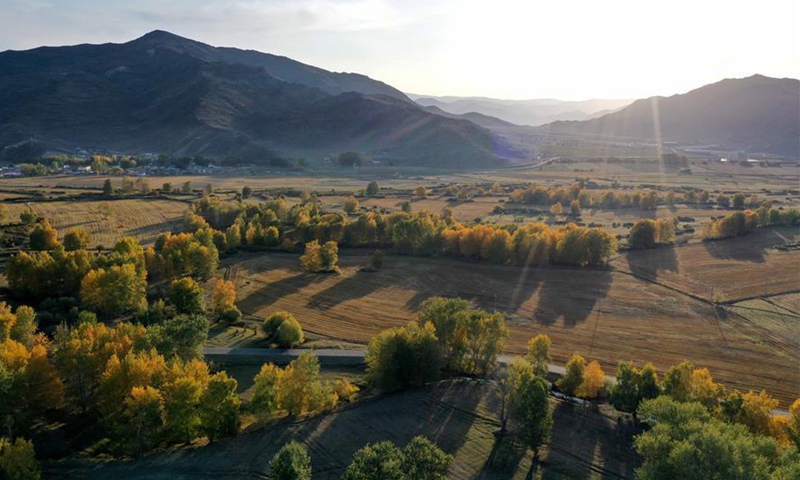 Scenery in Qinghe County in China's Xinjiang - Global Times