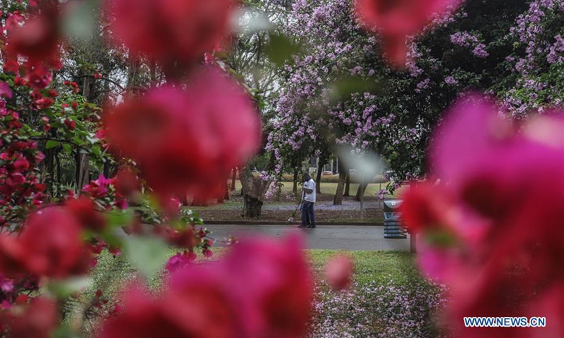 First day of spring in Sao Paulo, Brazil - Global Times