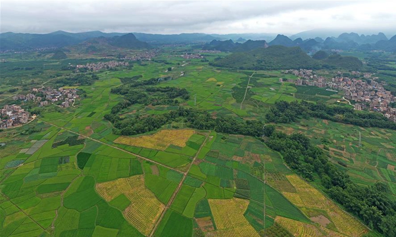 In pics: rural landscape of Pingle County in south China's Guangxi ...