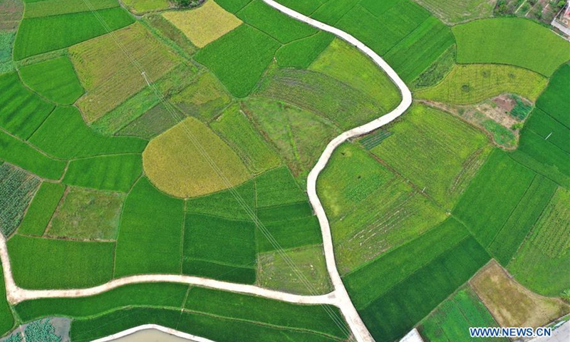 In pics: rural landscape of Pingle County in south China's Guangxi ...