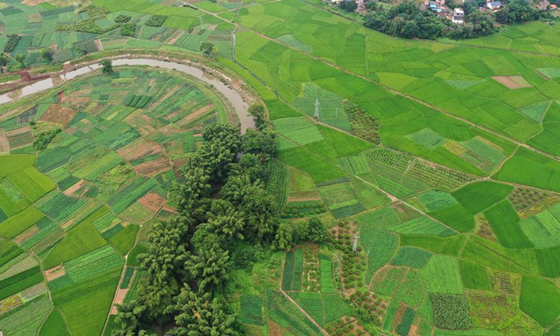 In pics: rural landscape of Pingle County in south China's Guangxi ...