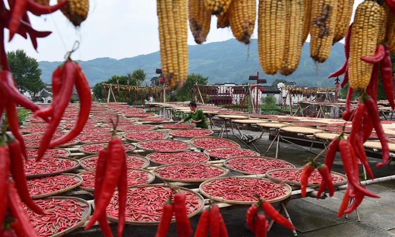 Villagers air chilies, corn at Chengkan Village in east China - Global ...