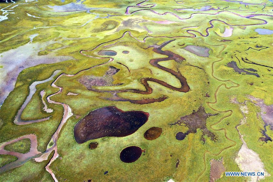 Aerial view of Lhato wetland in Qamdo, Tibet - Global Times