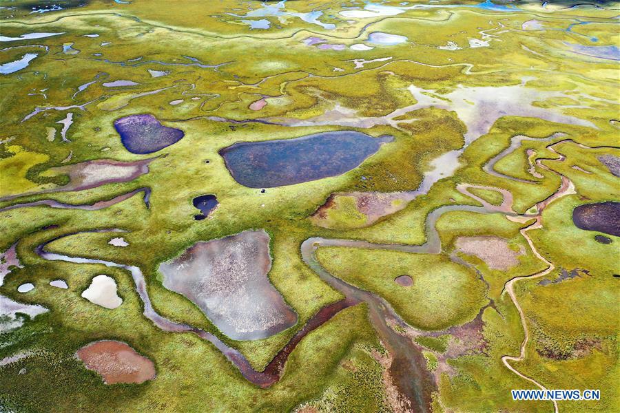 Aerial view of Lhato wetland in Qamdo, Tibet - Global Times