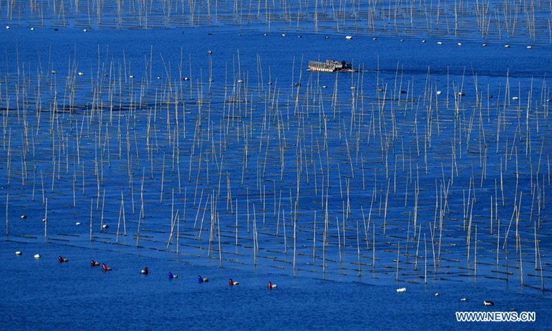 Scenery of Xiapu County in Fujian - Global Times