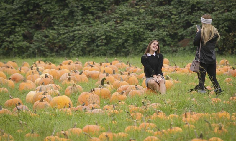 People take part in pumpkin patch event in Vancouver, Canada - Global Times