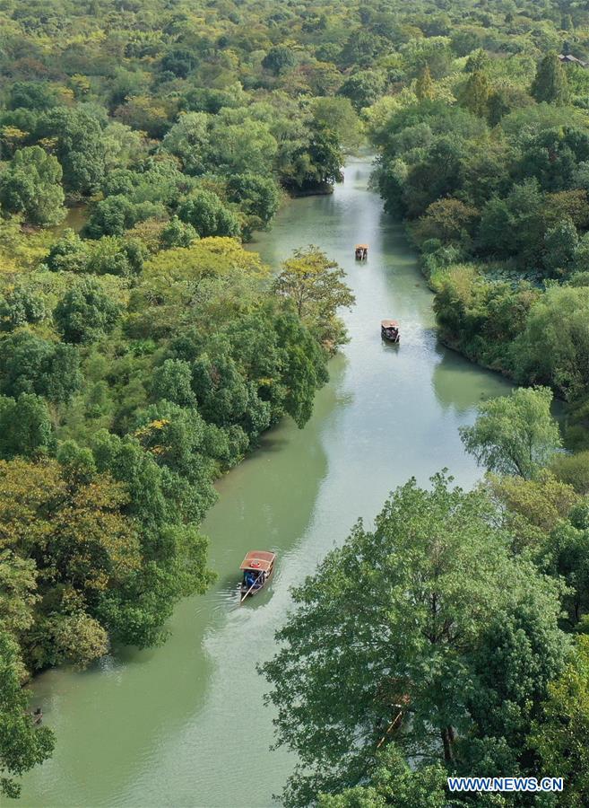 Aerial view of Xixi National Wetland Park in Hangzhou - Global Times