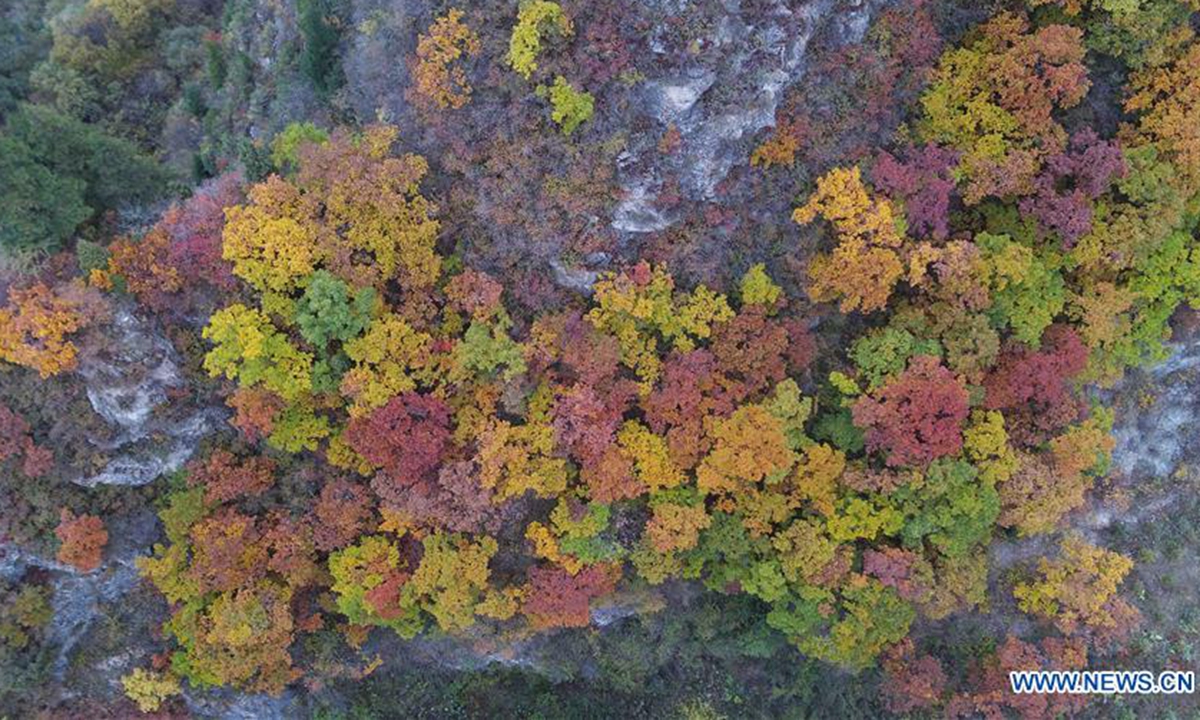 Autumn scenery of Xinglong Mountain in Gansu - Global Times
