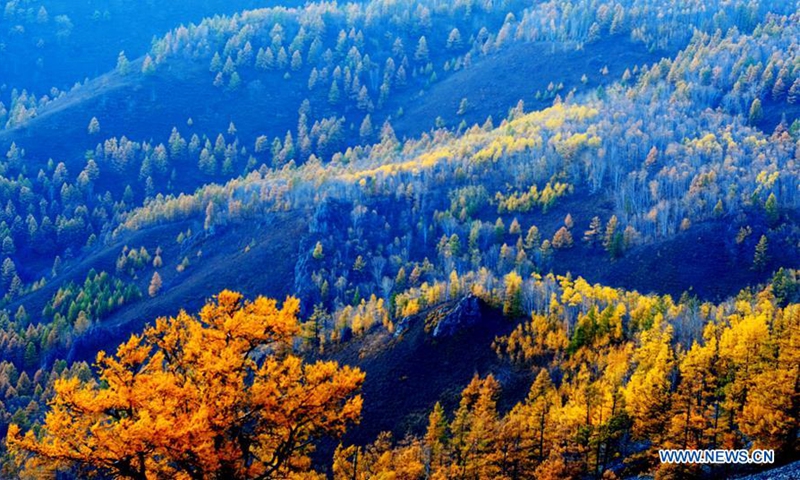 Scenery of Inner Mongolia - Global Times