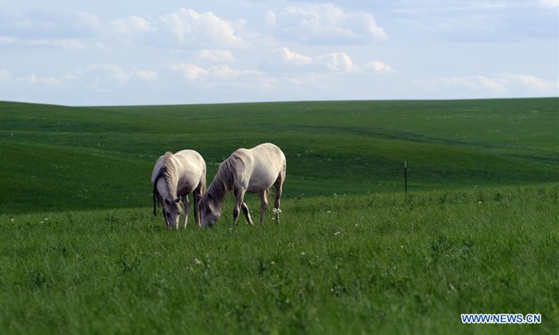 Scenery of Inner Mongolia - Global Times