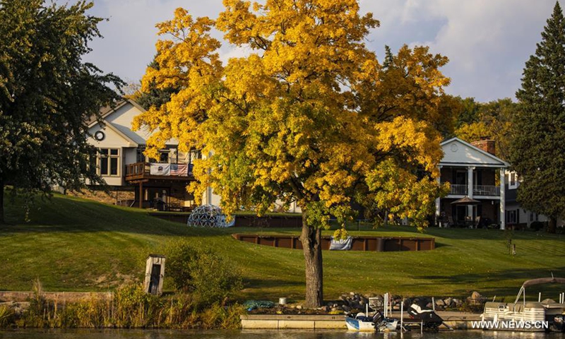 People enjoy fall foliage in Michigan, US - Global Times