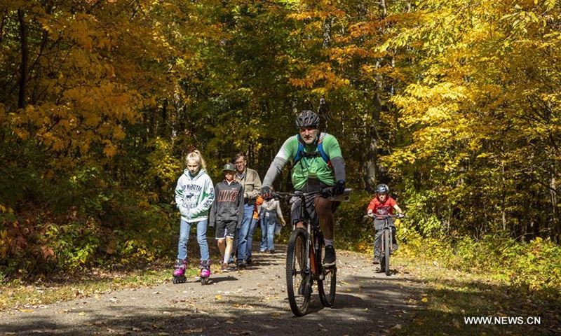 People enjoy fall foliage in Michigan, US - Global Times