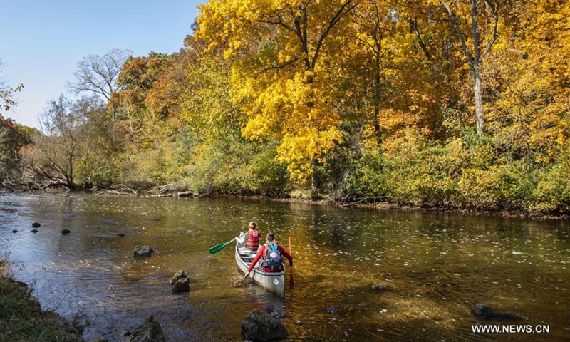 People enjoy fall foliage in Michigan, US - Global Times