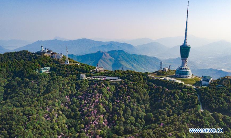 Aerial view of Shenzhen, S China - Global Times