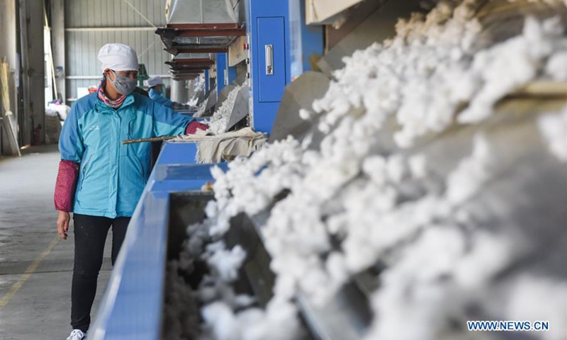 Cotton enters harvest season in Xinjiang - Global Times
