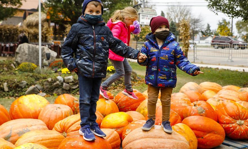 Towns in Illinois hold pumpkin festivals ahead of Halloween - Global Times