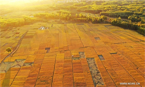 Metro Beijing - Global Times