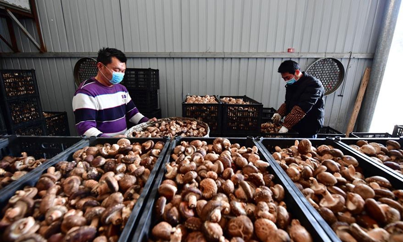 Henan's Xichuan County makes much progress in ecological protection ...