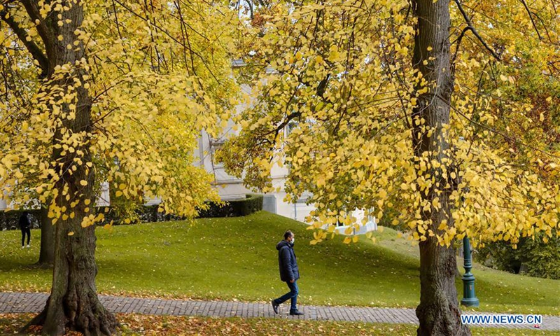 Autumn scenery in Brussels, Belgium - Global Times