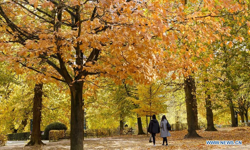 Autumn scenery in Brussels, Belgium - Global Times