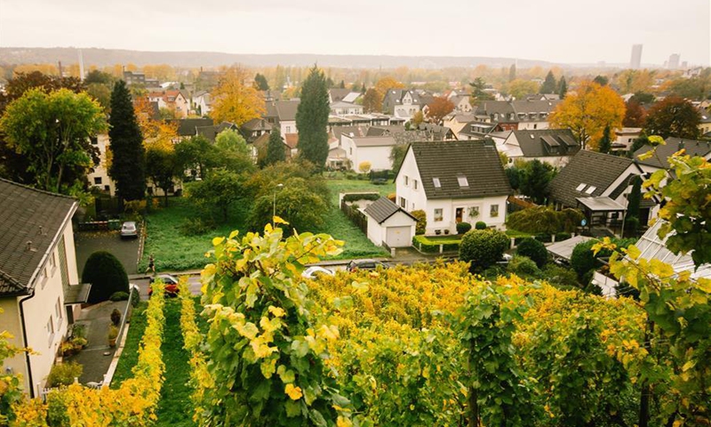Autumn scenery in Konigswinter, western Germany - Global Times