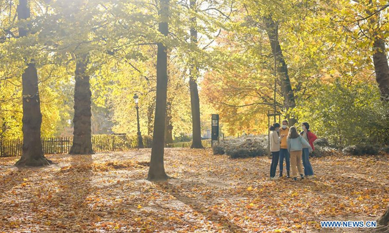 Autumn scenery in Brussels, Belgium - Global Times