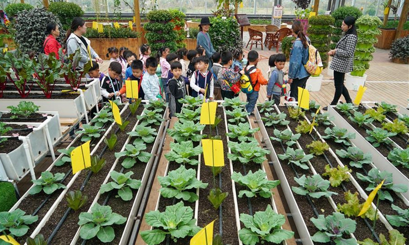 People visit modern agricultural industry park in Jiangsu - Global Times