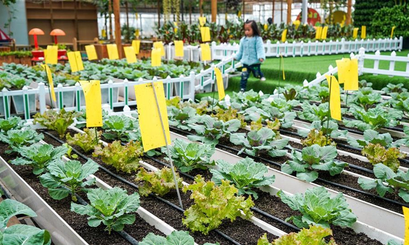 People visit modern agricultural industry park in Jiangsu - Global Times