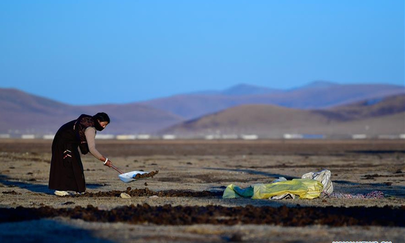 Ecological animal husbandry at Jiatang Grassland in Qinghai - Global Times
