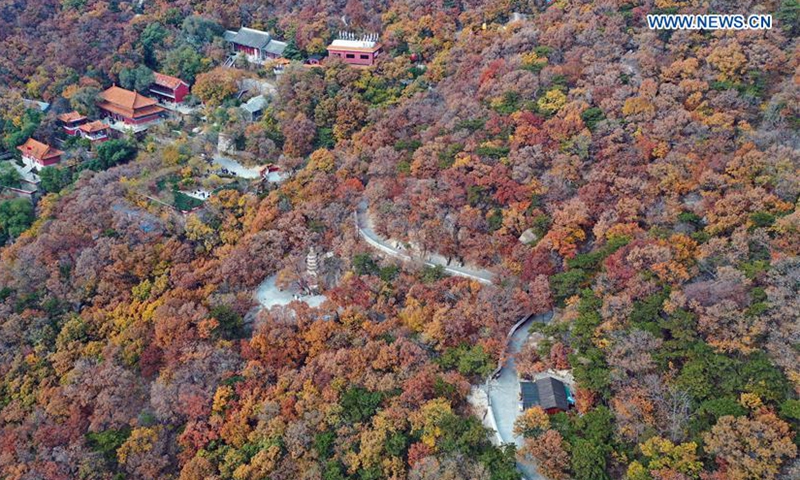 Autumn scenery of Panshan Mountain scenic resort in north China's ...