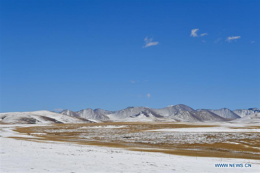 Snow-covered Jiatang Grassland in Qinghai - Global Times