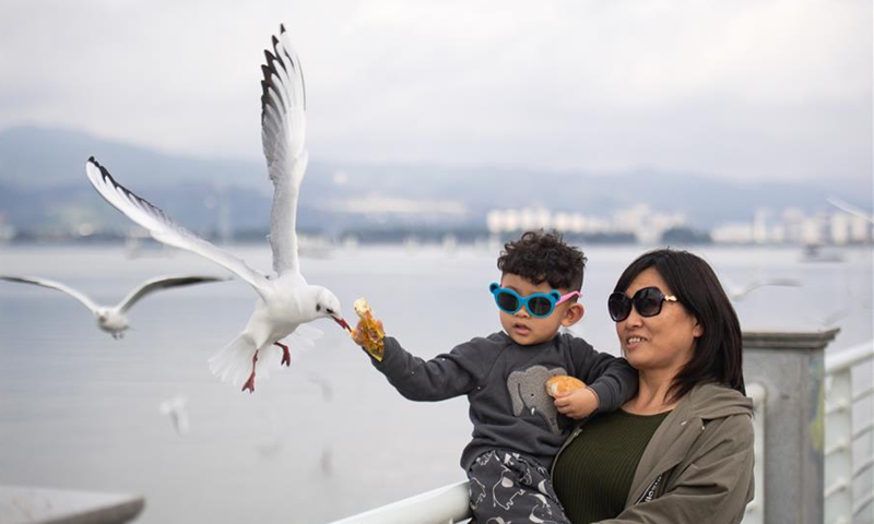 Tourists feed gulls at Haigeng Dam in Kunming, Yunnan - Global Times