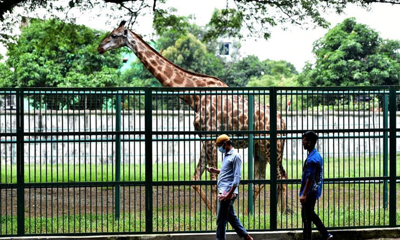 Bangladesh National Zoo in Mirpur section of Dhaka reopens to public ...