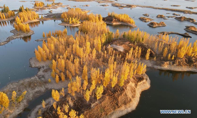 Autumn scenery of forests in Longyao County, Hebei - Global Times