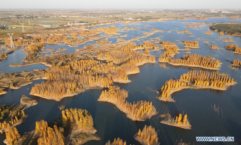 Autumn scenery of forests in Longyao County, Hebei - Global Times