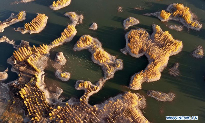 Autumn scenery of forests in Longyao County, Hebei - Global Times