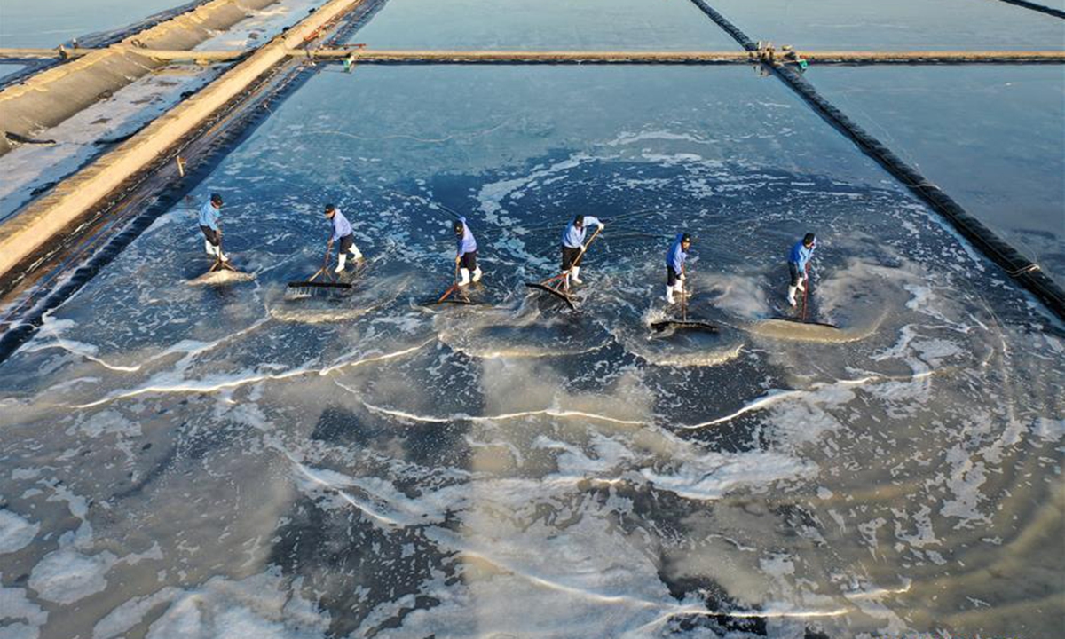 Dongfeng salt field in Qingdao enters harvest season - Global Times