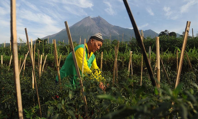 Authorities in Indonesia raise volcano's alert level - Global Times