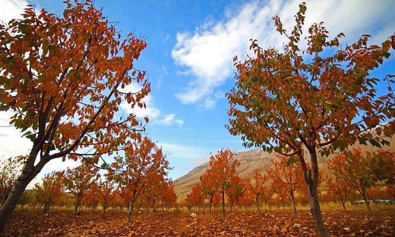 Autumn scenery of Ehden in Lebanon - Global Times