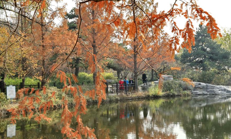 Scenery of Beijing Botanical Garden - Global Times