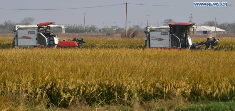 Farming devices displayed at intelligent farm in China's Jiangxi ...