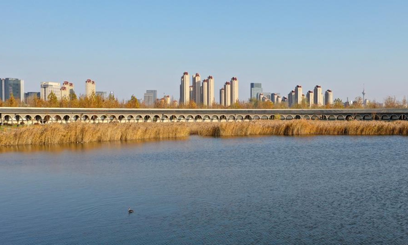 View of Shuixi Park in Tianjin - Global Times