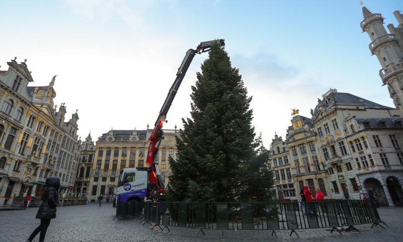 Workers install Christmas tree at Grand Place of Brussels, Belgium ...