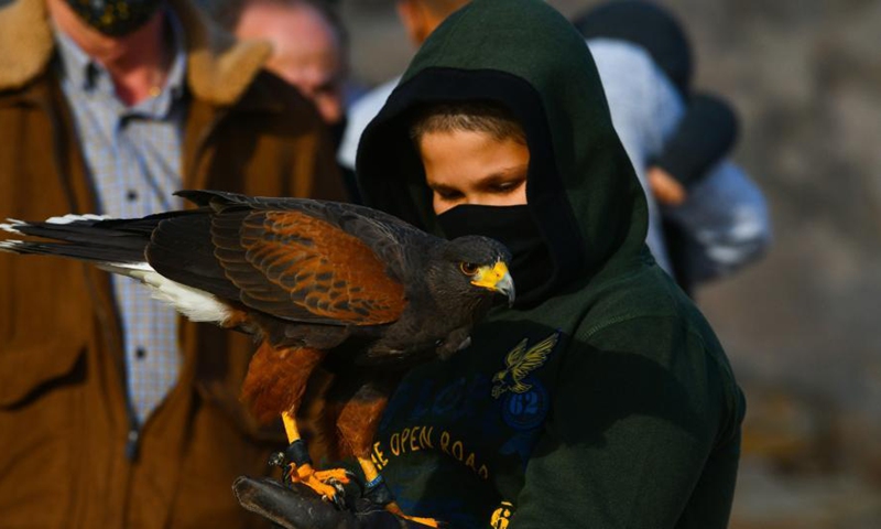 World Falconry Day marked in Wied iz-Zurrieq, Malta - Global Times