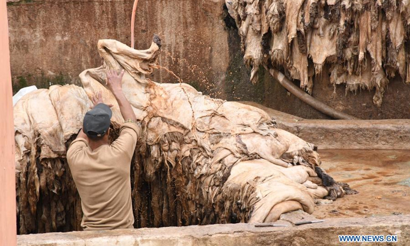 In pics: tannery in Morocco’s Marrakech - Global Times