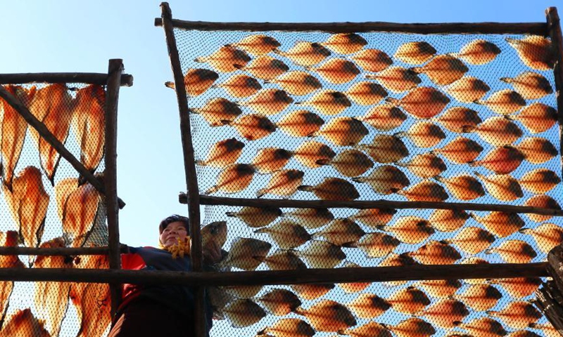Fishermen dry fish in Duoshi Village of Qingdao, E China - Global Times