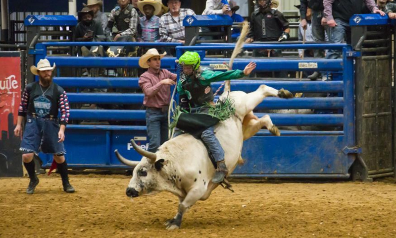 2020 World Finals for International Miniature Bull Rider competition ...